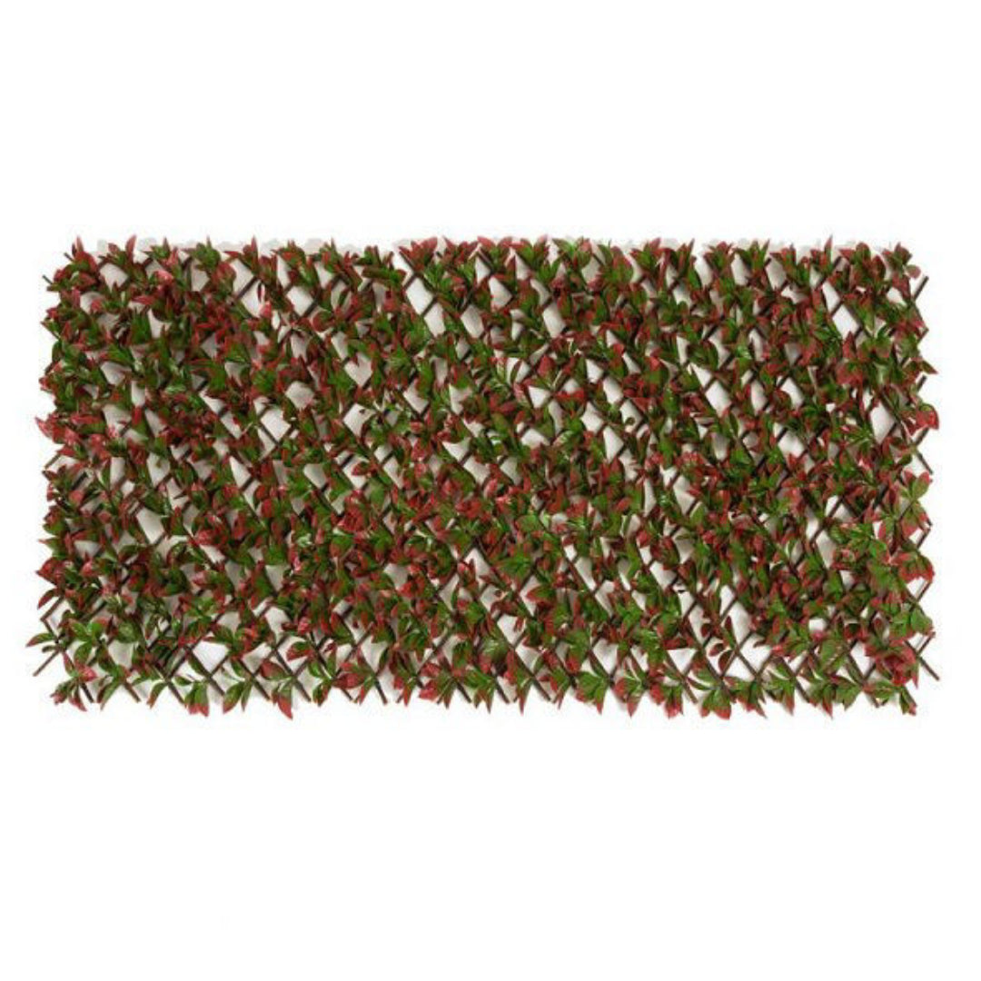 Wonderwall Artificial Trellis 100cm x 200cm - Variegated Beech – Heavins